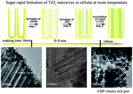 TiO2 cellular-protected nanowire array fabricated super-rapidly by the ...