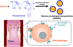Self-fabricated dextran-coated gold nanoparticles using pyrenyl dextran ...