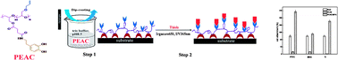 A facile approach to surface modification on versatile substrates for ...