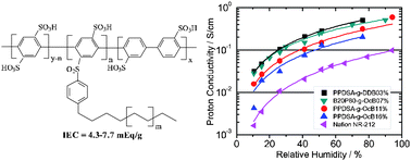Synthesis and characterization of poly(para-phenylene disulfonic acid ...