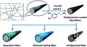 Polydopamine-coated nanofibrous mats as a versatile platform for ...