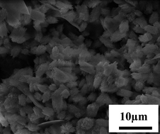 Bioactive mesoporous calcium–silicate nanoparticles with excellent ...