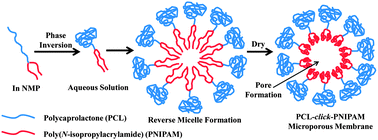 Preparation of stimuli responsive polycaprolactone membranes of ...