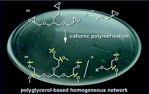 Polyglycerol-based polymer network films for potential biomedical ...