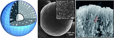 Phase control of hierarchically structured mesoporous anatase TiO2 ...