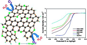 Graphene enriched with pyrrolic coordination of the doped nitrogen as ...