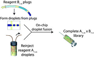 Microfluidic platform for combinatorial synthesis in picolitre droplets ...