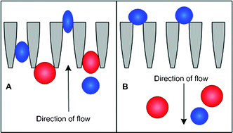 Cell separation based on size and deformability using microfluidic ...