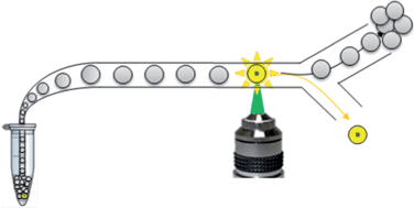 Droplet microfluidics for high-throughput biological assays - Lab on a ...