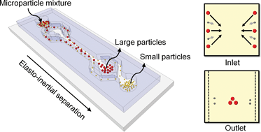 Continuous separation of microparticles in a microfluidic channel via the elasto-inertial effect ...