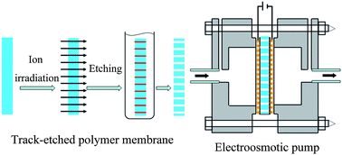 Low-voltage electroosmotic pumps fabricated from track-etched polymer ...