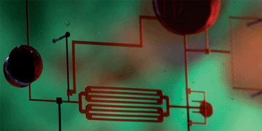 Squeeze-chip: a finger-controlled microfluidic flow network device and ...