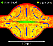 Acoustofluidics 14: Applications of acoustic streaming in microfluidic ...
