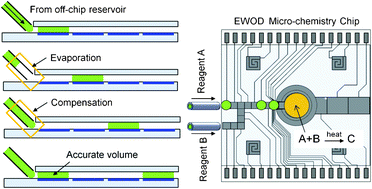 Accurate dispensing of volatile reagents on demand for chemical ...