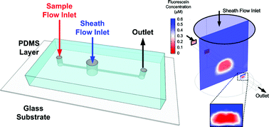Single channel layer, single sheath-flow inlet microfluidic flow ...