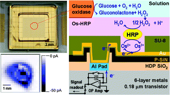 LSI-based amperometric sensor for bio-imaging and multi-point ...