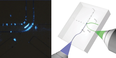 A compact optofluidic cytometer with integrated liquid-core/PDMS ...
