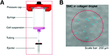 Prediction and control of number of cells in microdroplets by ...