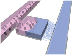 Vacuum-assisted cell loading enables shear-free mammalian microfluidic ...