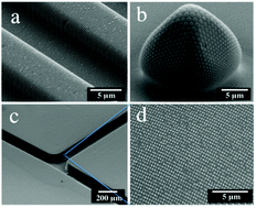 3D nanomolding for lab-on-a-chip applications - Lab on a Chip (RSC ...