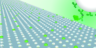 Large-scale femtoliter droplet array for digital counting of single ...