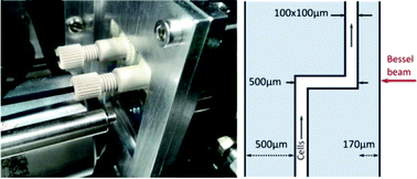 High-throughput optical injection of mammalian cells using a Bessel ...