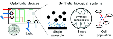 Frontiers of optofluidics in synthetic biology - Lab on a Chip (RSC ...