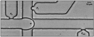 Flow focusing geometry generates droplets through a plug and squeeze ...