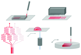 Engineered cell culture substrates for axon guidance studies: moving ...