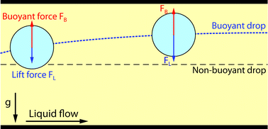 The magnitude of lift forces acting on drops and bubbles in liquids ...