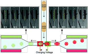 Electrostatic charging and control of droplets in microfluidic devices ...