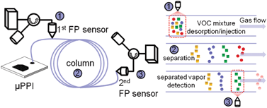 Fabry-Pérot cavity sensor-based optofluidic gas chromatography using a ...