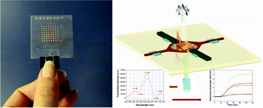 All-thermoplastic nanoplasmonic microfluidic device for transmission ...
