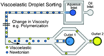 Passive droplet sorting using viscoelastic flow focusing - Lab on a Chip (RSC Publishing)