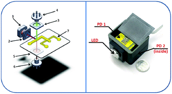 Dual-wavelength fluorescent detection of particles on a novel ...
