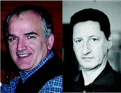 Analytical miniaturization and nanotechnologies - Lab on a Chip (RSC ...