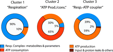 A structured approach to the study of metabolic control principles in ...