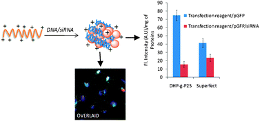 Synthesis and evaluation of N-(2,3-dihydroxypropyl)-PEIs as efficient ...