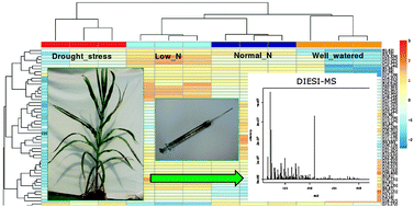 Evaluating the physiological state of maize (Zea mays L.) plants by ...