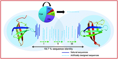 Cascaded walks in protein sequence space: use of artificial sequences ...
