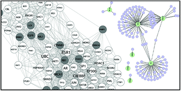 The Core Diseasome - Molecular BioSystems (RSC Publishing)