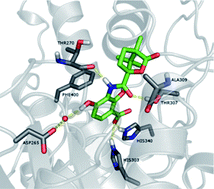 Simplified platensimycin analogues as antibacterial agents ...