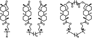 Unfolded and macrocyclic ammonium derivatives of diterpenoids steviol ...
