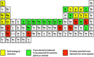 Metallomics: whence and whither - Metallomics (RSC Publishing)
