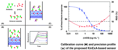 An automated flow immunosensor based on kinetic exclusion analysis for ...
