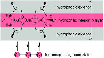 Hydrophobic-exterior layer structures and magnetic properties of ...
