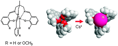 Metal complexes of tripodal ligands as ionophores for alkali metal ions ...