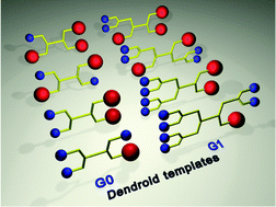 Regio-specific size, shape and surface chemistry designed dendrimers ...