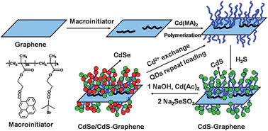 CdS/CdSe quantum dot co-sensitized graphene nanocomposites via polymer ...