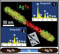 Heterojunction double dumb-bell Ag2Te–Te–Ag2Te nanowires - Nanoscale ...